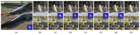 Kernel Estimation Using Total Variation Guided GAN for Image Super-Resolution