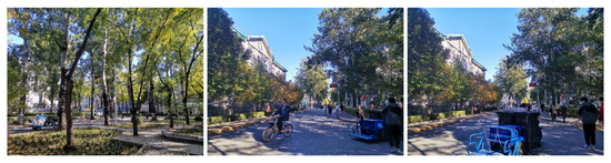 A Localization And Mapping Algorithm Based On Improved Lvi Sam For Vehicles In Field Environments 