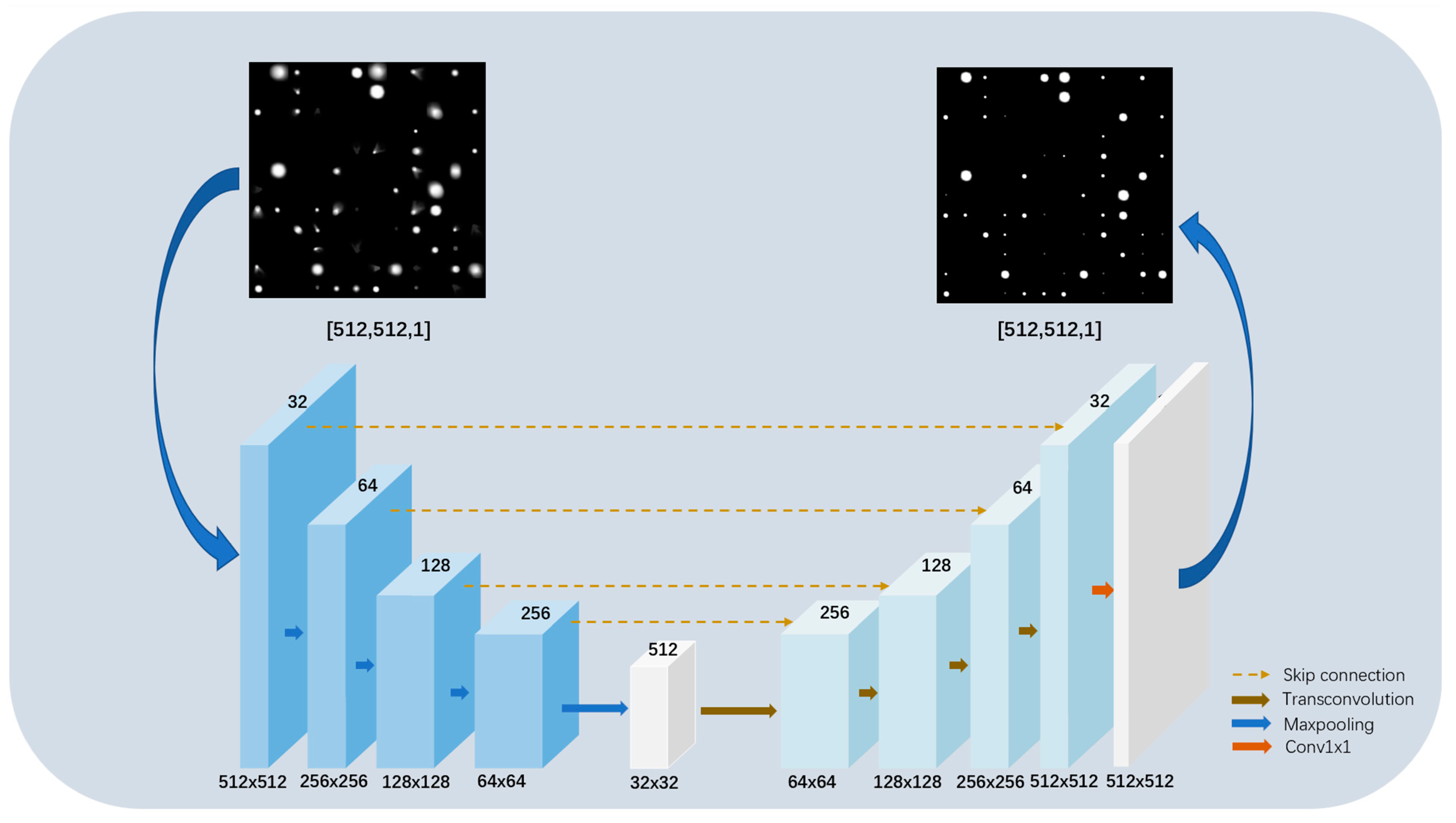 Restoration of Spatially Variant Blurred Images with Wide-Field Telescope Based on Deep Learning