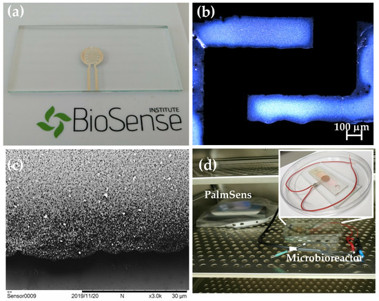 Mammalian Cell-Growth Monitoring Based on an Impedimetric Sensor and ...