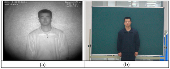 Laser-Visible Face Image Translation and Recognition Based on CycleGAN and Spectral Normalization