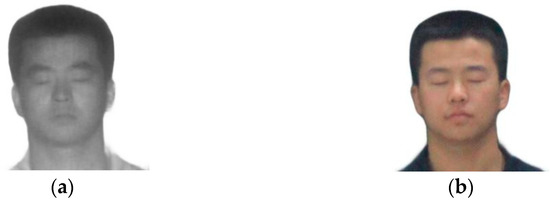 Laser-Visible Face Image Translation and Recognition Based on CycleGAN ...