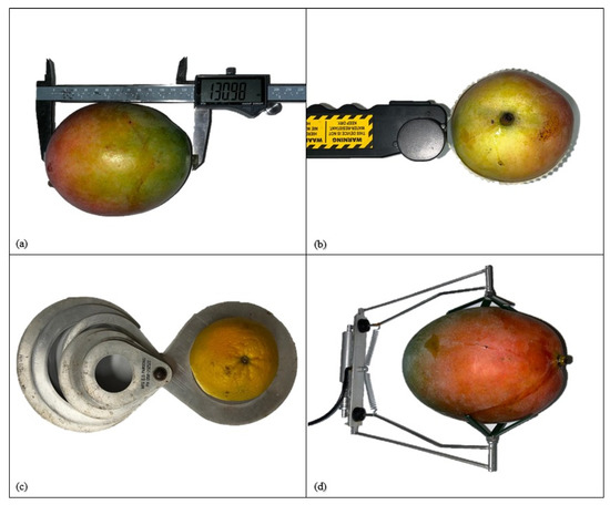 Fruit Sizing in Orchard: A Review from Caliper to Machine Vision with ...