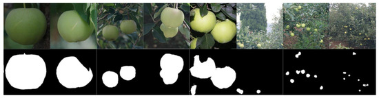 Fruit Sizing in Orchard: A Review from Caliper to Machine Vision with ...