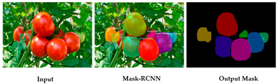 Fruit Sizing in Orchard: A Review from Caliper to Machine Vision with ...
