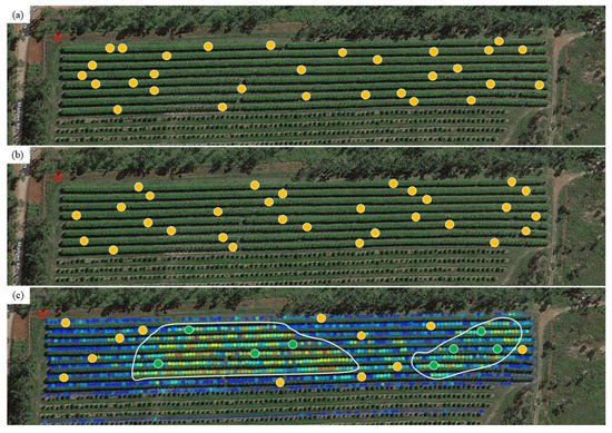 Fruit Sizing in Orchard: A Review from Caliper to Machine Vision with ...