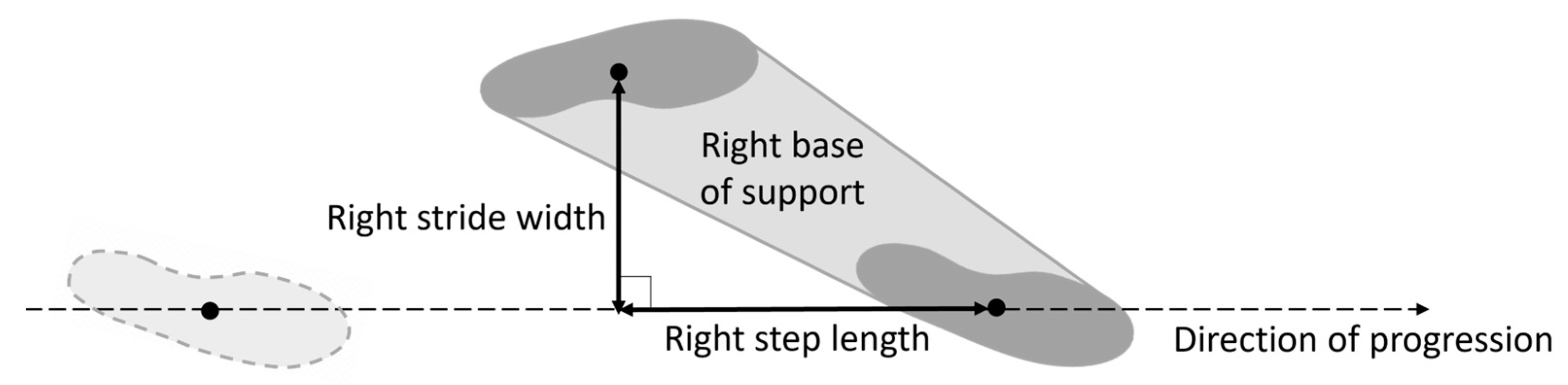 Sensors | Free Full-Text | Base of Support, Step Length and Stride ...