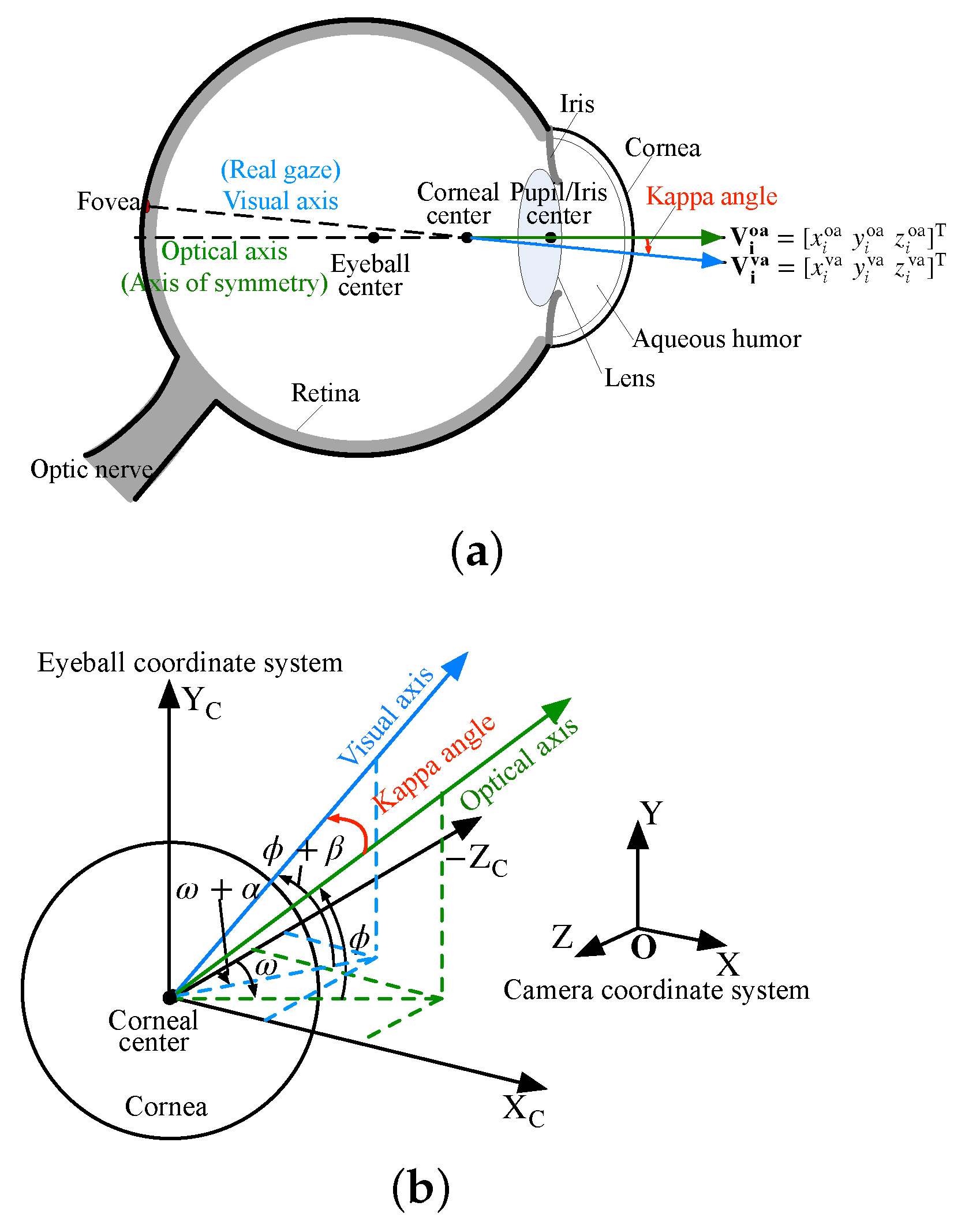 An Automatic Calibration Method for Kappa Angle Based on a Binocular ...