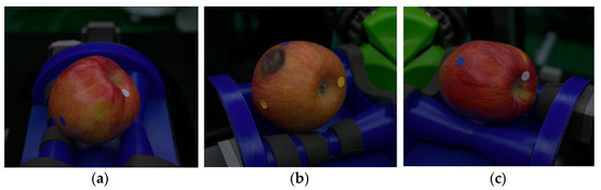 Multi-Camera-Based Sorting System for Surface Defects of Apples