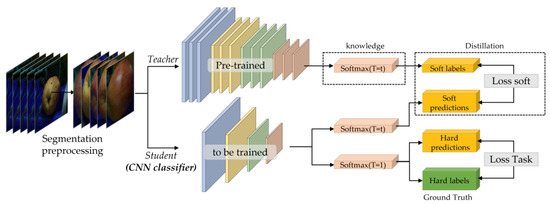 Multi-Camera-Based Sorting System for Surface Defects of Apples