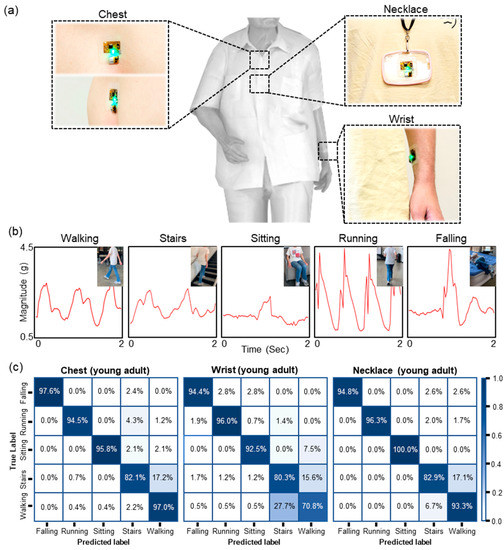 Experimental Study: Deep Learning-Based Fall Monitoring among Older ...