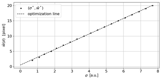 Automated Measurement Of Geometric Features In Curvilinear Structures Exploiting Stegers Algorithm