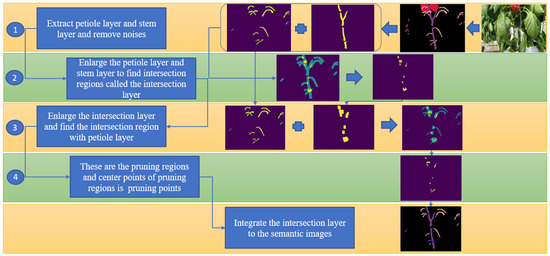 Pruning Points Detection of Sweet Pepper Plants Using 3D Point Clouds and Semantic Segmentation ...