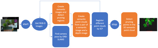 Pruning Points Detection of Sweet Pepper Plants Using 3D Point Clouds and Semantic Segmentation ...