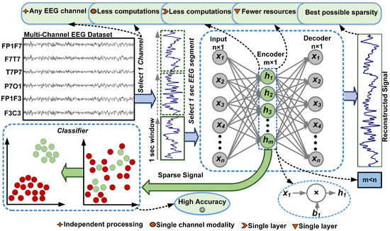 A Shallow Autoencoder Framework for Epileptic Seizure Detection in EEG Signals
