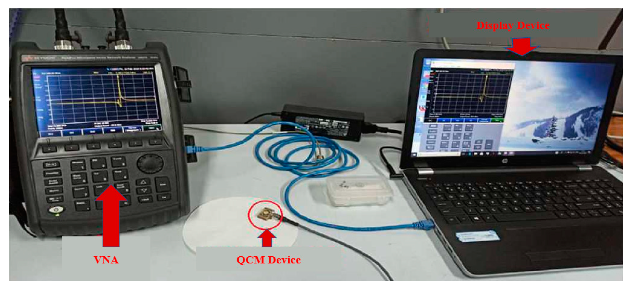 Advances in Portable Heavy Metal Ion Sensors