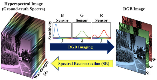Sensors | Free Full-Text | A Rehabilitation of Pixel-Based Spectral Reconstruction from RGB Images