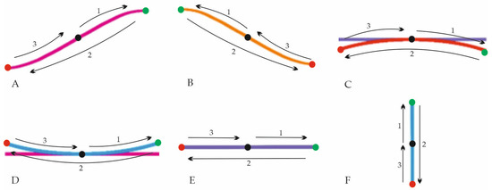 Symmetry of the Neck Muscles’ Activity in the Electromyography Signal ...