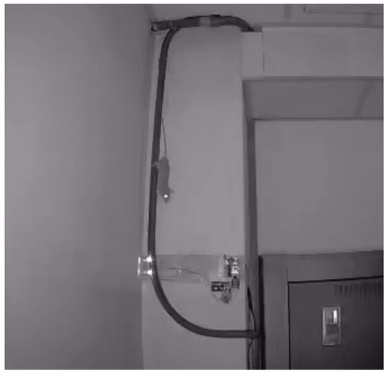 A Remote Monitoring System for Rodent Infestation Based on LoRaWAN