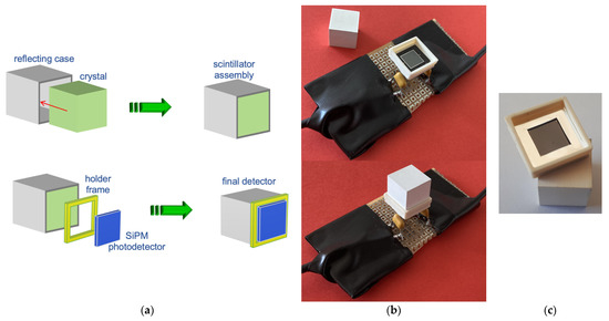 The Gamma and Neutron Sensor System for Rapid Dose Rate Mapping in the ...