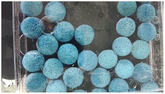 A Multiscale Instance Segmentation Method Based on Cleaning Rubber Ball Images