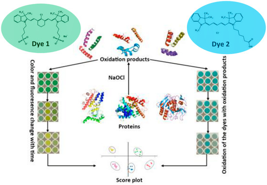 Carbocyanine-Based Optical Sensor Array for the Discrimination of ...