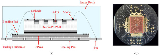 Performance of Active-Quenching SPAD Array Based on the Tri-State Gates ...