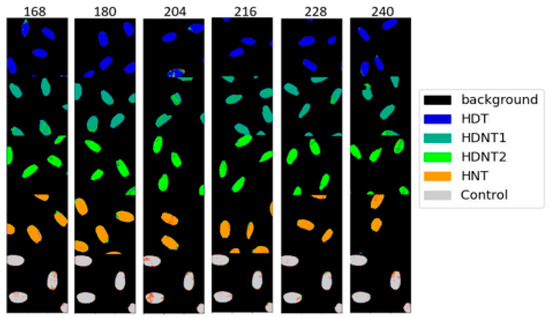 A Deep Learning Framework for Processing and Classification of ...