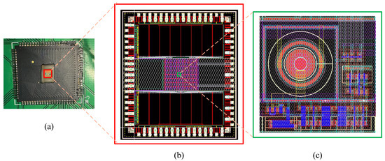 On-Chip Compressive Sensing with a Single-Photon Avalanche Diode Array