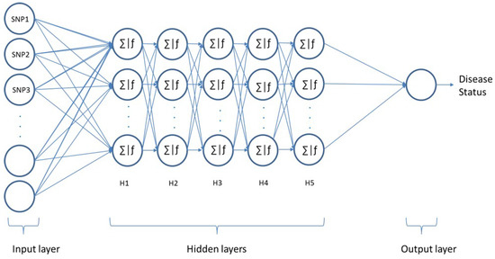 Deep Learning Framework for Complex Disease Risk Prediction Using Genomic Variations