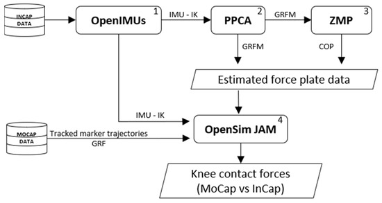Peak Tibiofemoral Contact Forces Estimated Using IMU-Based Approaches Are Not Significantly ...