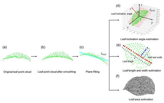 Automatic Branch–Leaf Segmentation and Leaf Phenotypic Parameter Estimation of Pear Trees Based ...