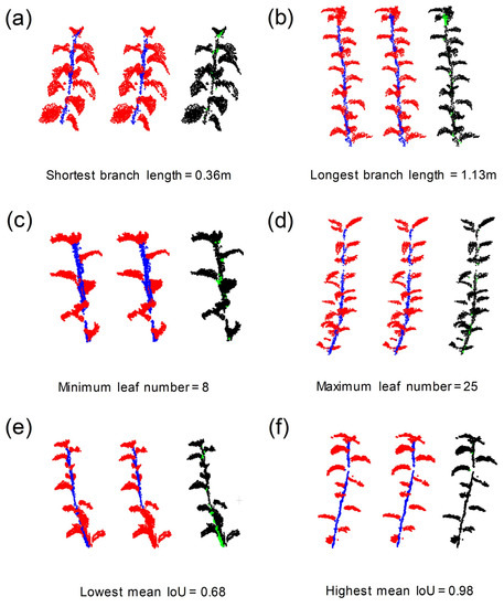 Automatic Branch–Leaf Segmentation and Leaf Phenotypic Parameter Estimation of Pear Trees Based ...