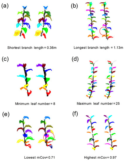 Automatic Branch–Leaf Segmentation and Leaf Phenotypic Parameter ...
