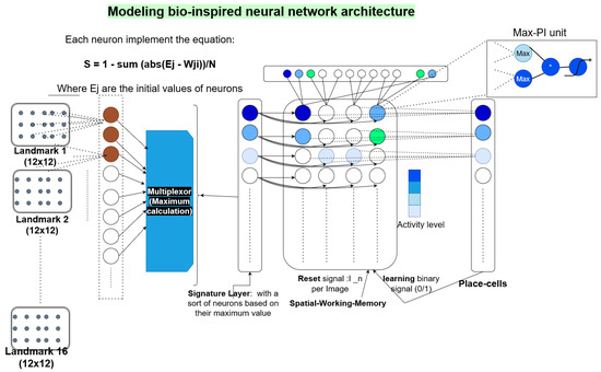 Implementation of a Bio-Inspired Neural Architecture for Autonomous ...