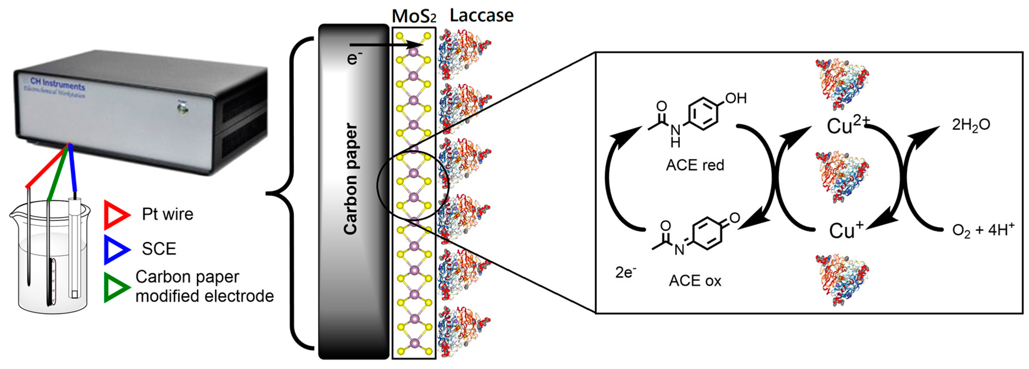 Detection of Acetaminophen in Groundwater by Laccase-Based Amperometric ...