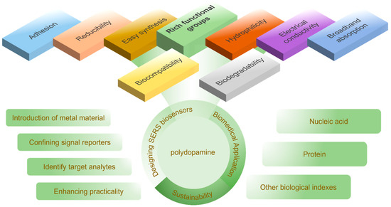 The Convenience of Polydopamine in Designing SERS Biosensors with a ...