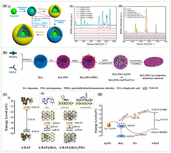 The Convenience of Polydopamine in Designing SERS Biosensors with a ...