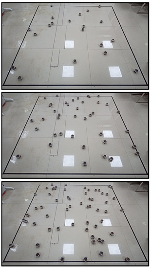 Collective Cognition on Global Density in Dynamic Swarm