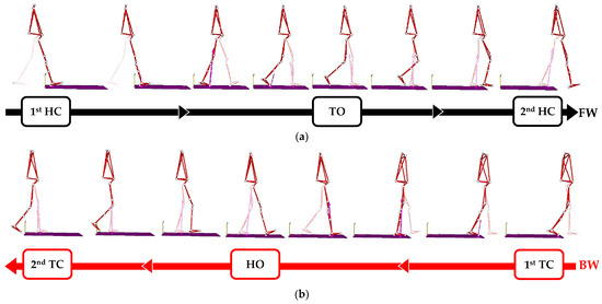 Forward and Backward Walking: Multifactorial Characterization of Gait ...