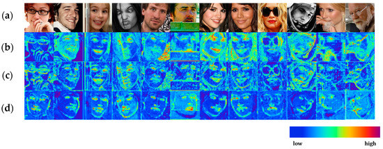 Sensors | Free Full-Text | Heatmap-Guided Selective Feature Attention for Robust Cascaded Face ...