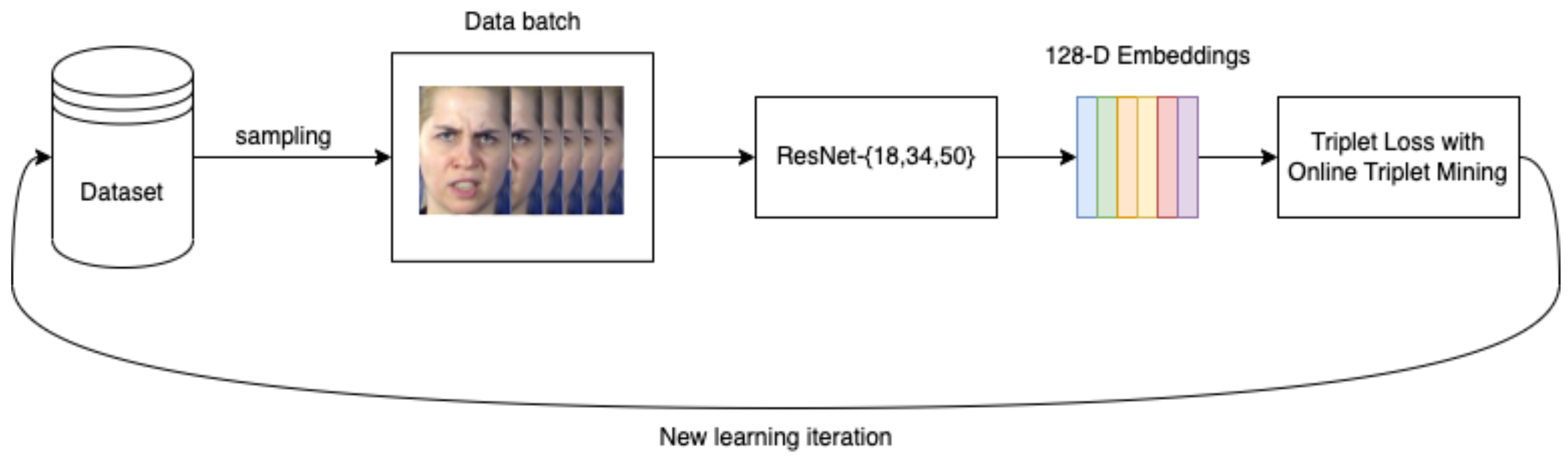 Robust Human Face Emotion Classification Using Triplet-Loss-Based Deep CNN Features and SVM