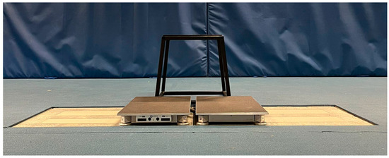 The Validity of Hawkin Dynamics Wireless Dual Force Plates for ...