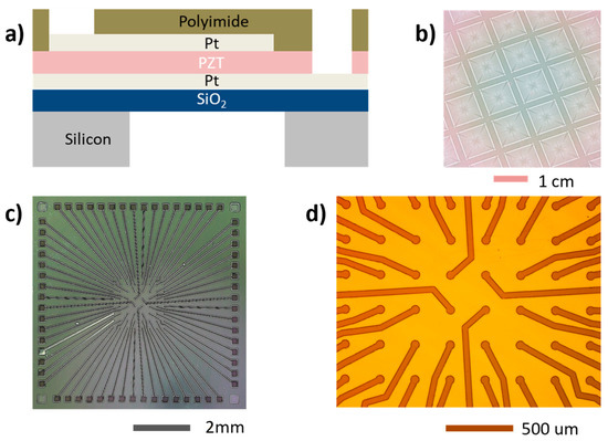 Polyimide-On-Silicon 2D Piezoelectric Micromachined Ultrasound ...