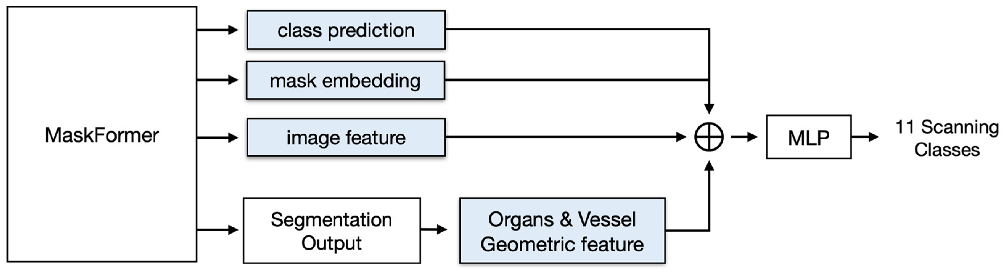 Real-Time Deep Recognition of Standardized Liver Ultrasound Scan Locations