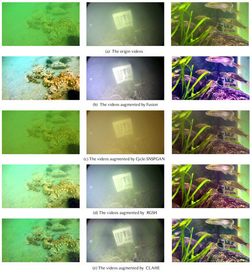 UWV-Yolox: A Deep Learning Model for Underwater Video Object Detection