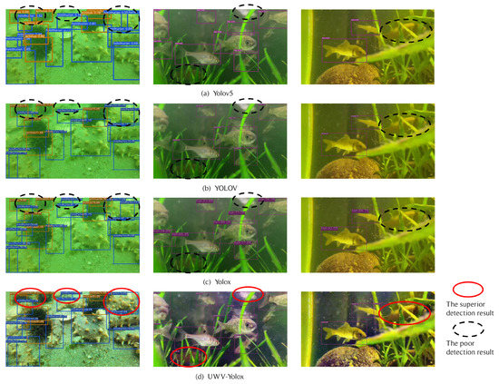 UWV-Yolox: A Deep Learning Model for Underwater Video Object Detection