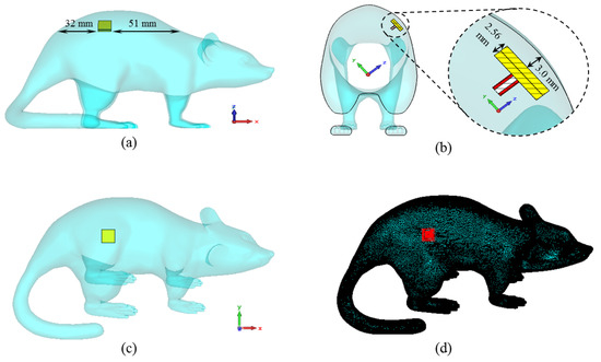 A Compact Modified Two-Arm Rectangular Spiral Implantable Antenna Design for ISM Band Biosensing ...