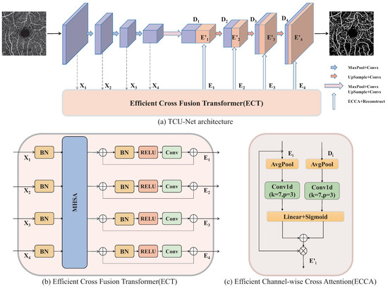 TCU-Net: Transformer Embedded in Convolutional U-Shaped Network for Retinal Vessel Segmentation
