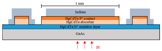 LWIR Lateral Effect Position Sensitive HgCdTe Photodetector at 205 K